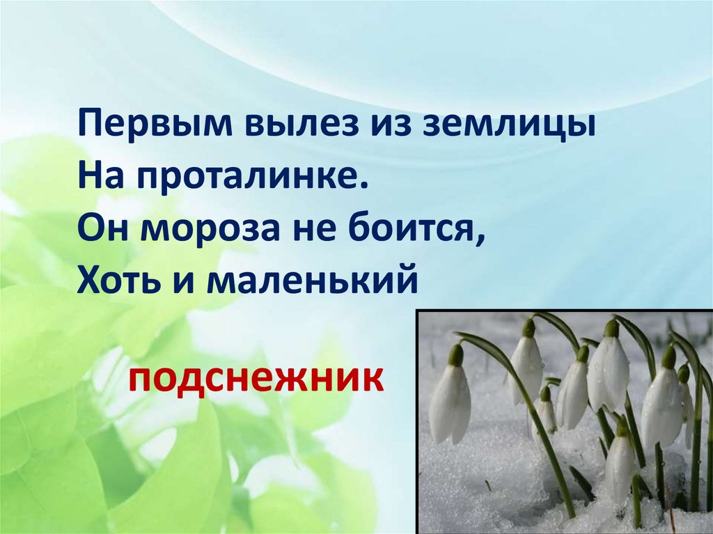 Коррекционное занятие по развитию познавательных процессов «Путешествие по временам года