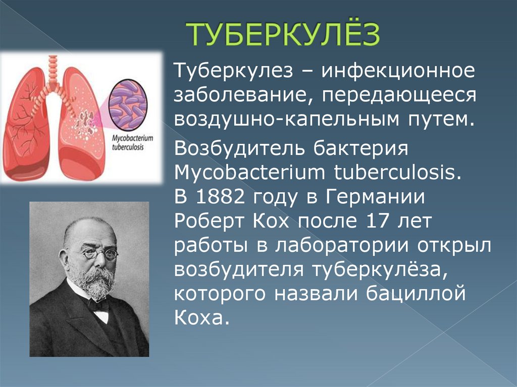 Туберкулез презентация онлайн