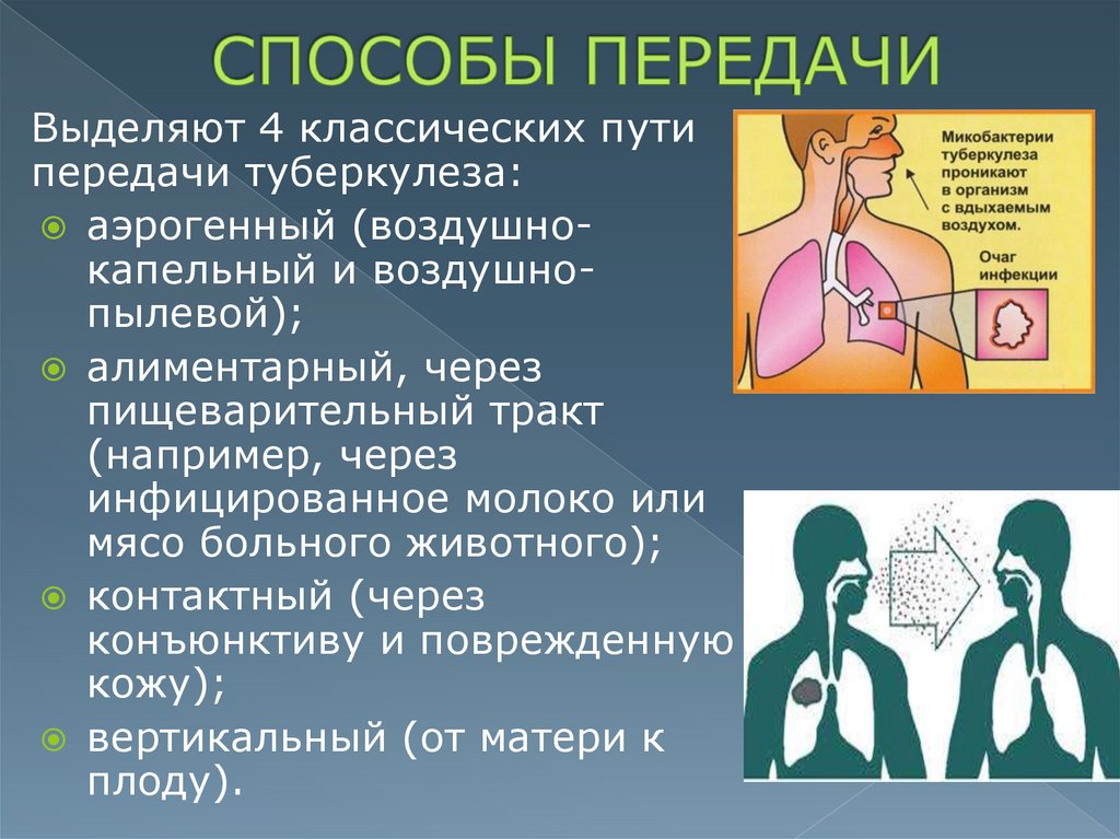 Туберкулез презентация онлайн