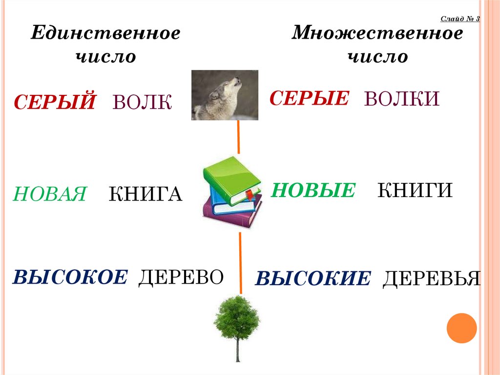 Изменение прилагательных по числам презентация онлайн