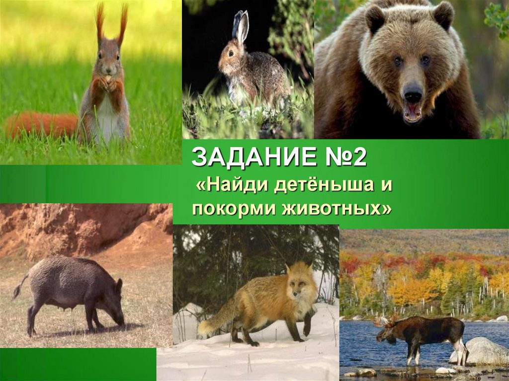 Станция «Биологическая» - презентация онлайн