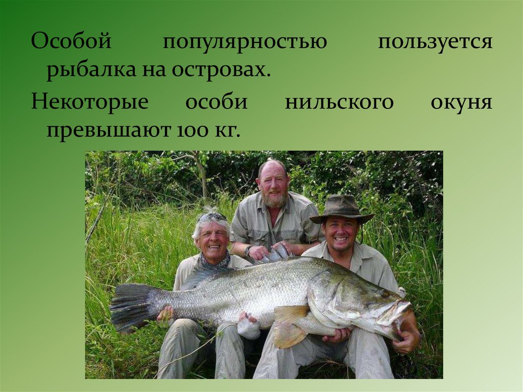 Национальный парк Африки Рубондо Айленд презентация онлайн