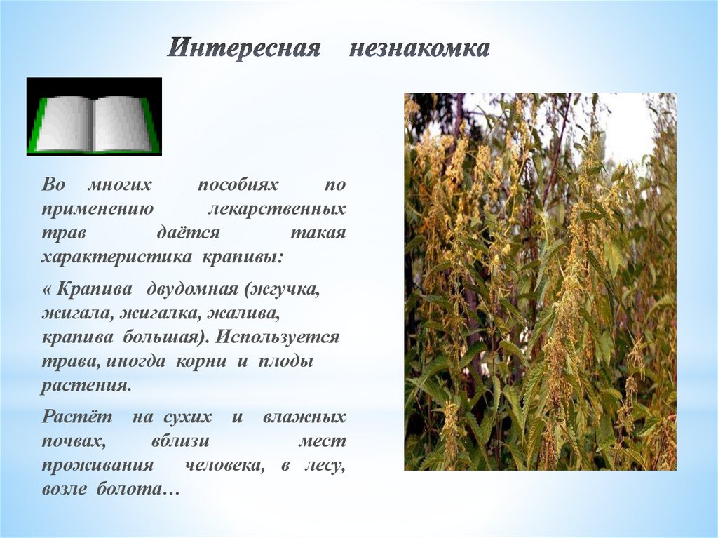Муравьиная кислота - знакомая и незнакомая - презентация онлайн
