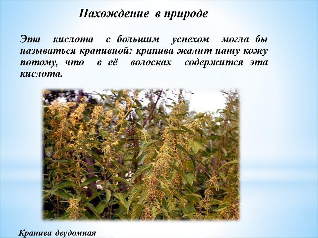 Муравьиная кислота - знакомая и незнакомая - презентация онлайн