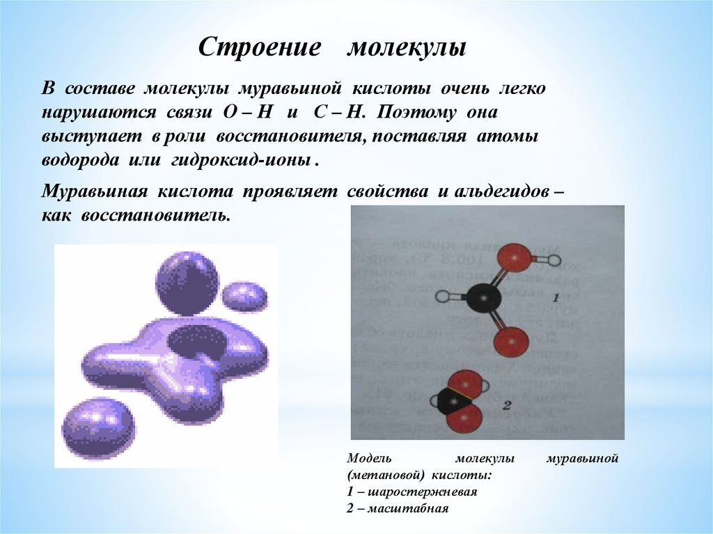 Муравьиная кислота - знакомая и незнакомая - презентация онлайн