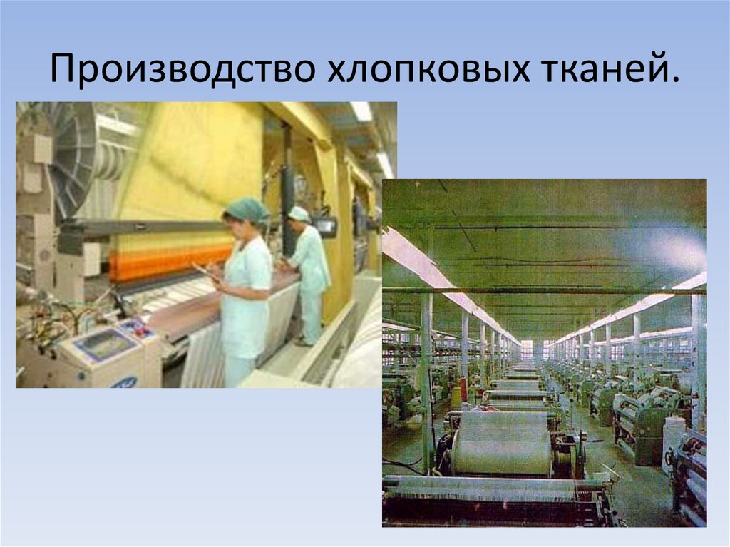 Натуральные волокна Хлопок Урок технологии швейное дело