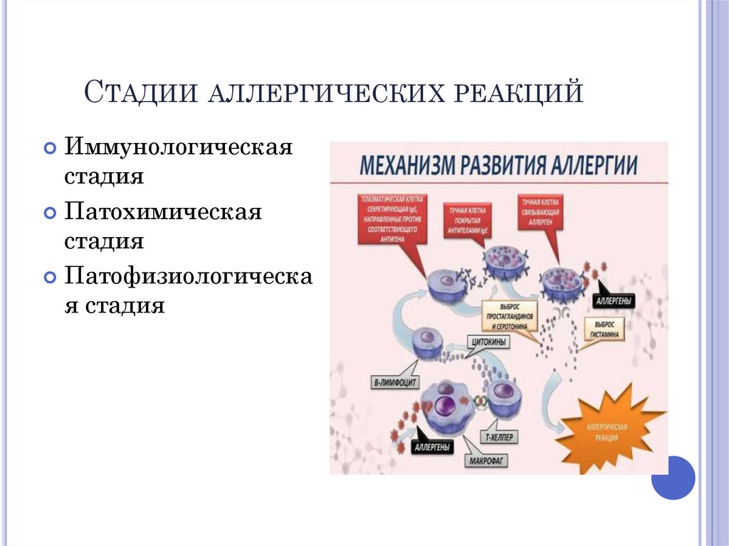 Типы реакций гиперчувствительности , их общий патогенез - презентация онлайн