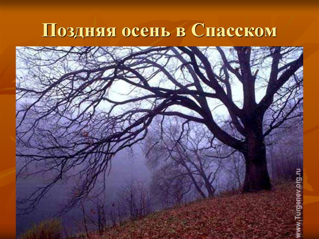 Портрет Природа края презентация онлайн