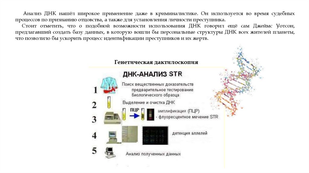 Спираль жизни презентация онлайн