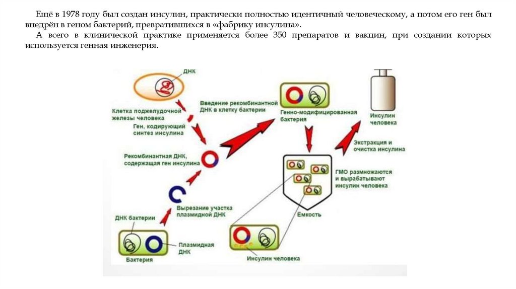 Спираль жизни презентация онлайн