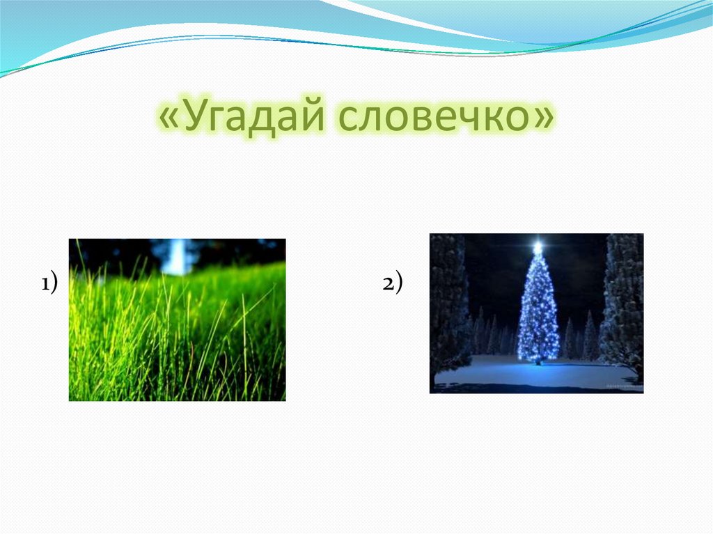 Лесная книга - презентация онлайн