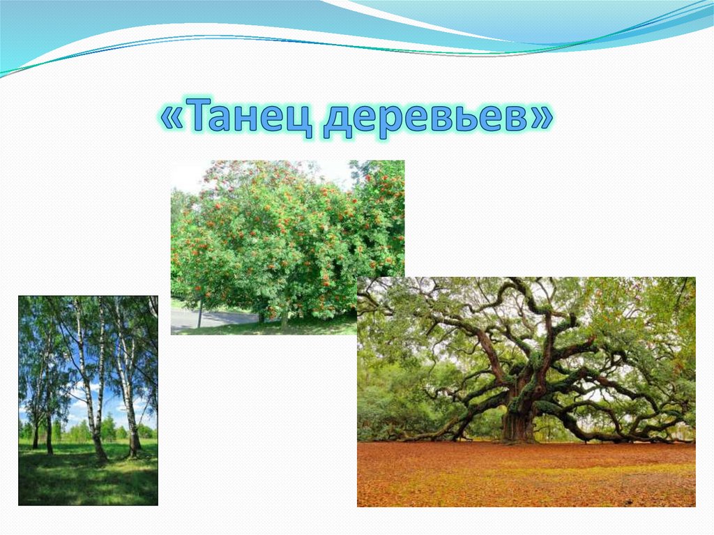 Лесная книга - презентация онлайн