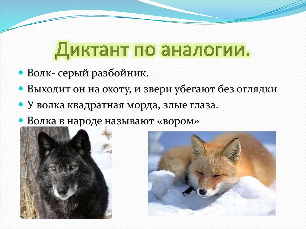 Лесная книга - презентация онлайн