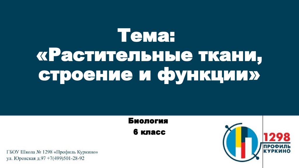 Ткани растений и их функции Online Presentation