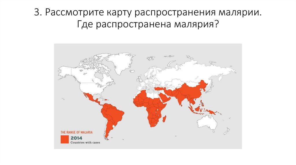 Малярия. Как называется возбудитель малярии? - презентация онлайн
