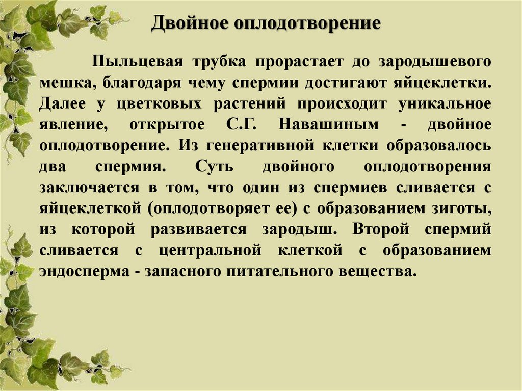 Классификация и развитие покрытосеменных растений презентация онлайн