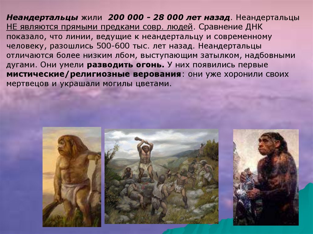 Происхождение и эволюция человека - презентация онлайн