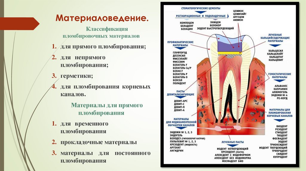 Общая стоматология. Лекция 1 - презентация онлайн