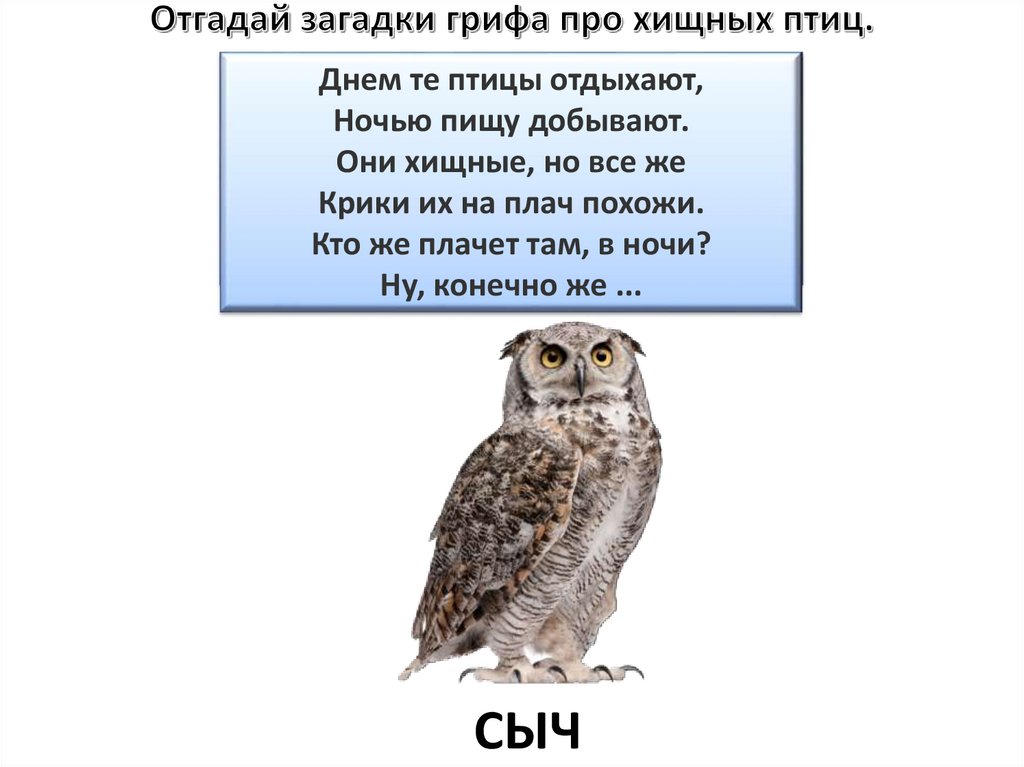 Хищные птицы презентация онлайн