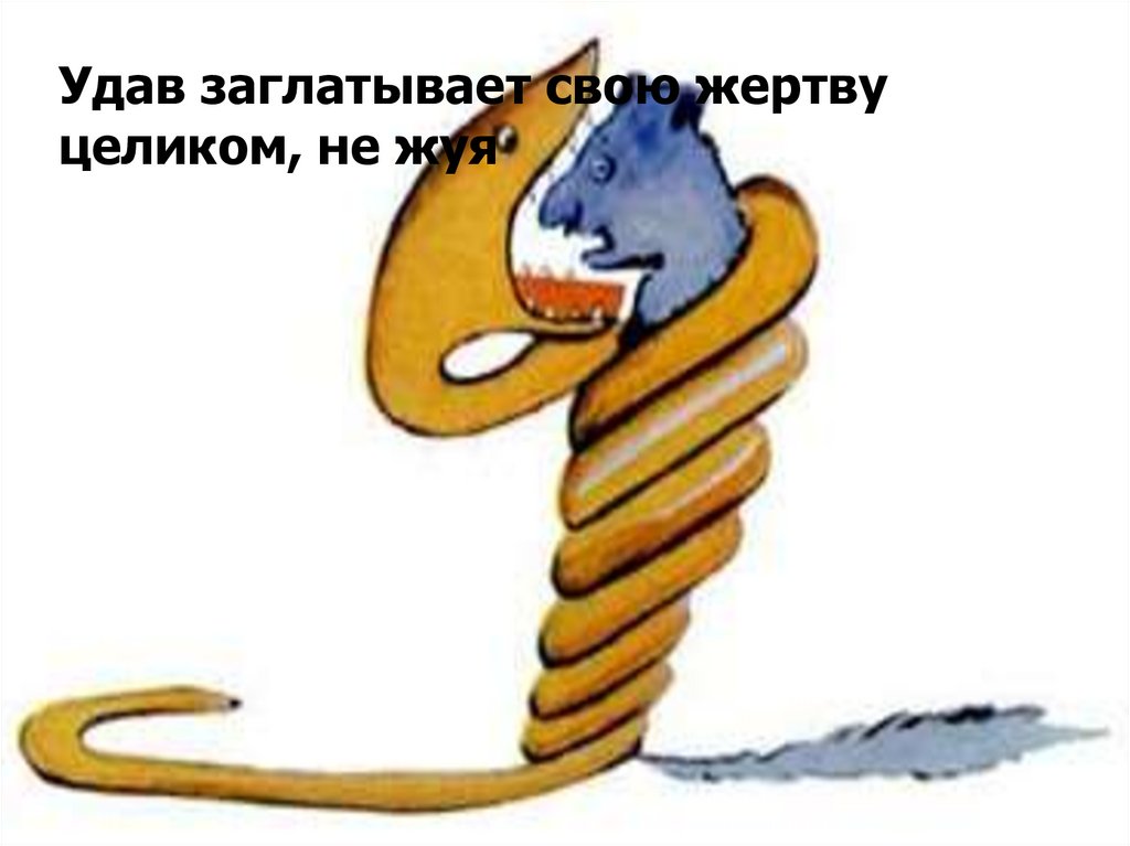 Система внеклассной работы на примере урока по сказке А де Сент