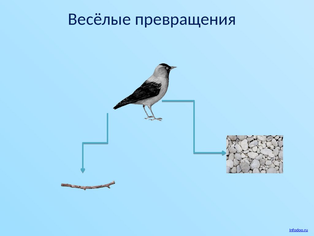 Детям о перелетных птицах презентация онлайн