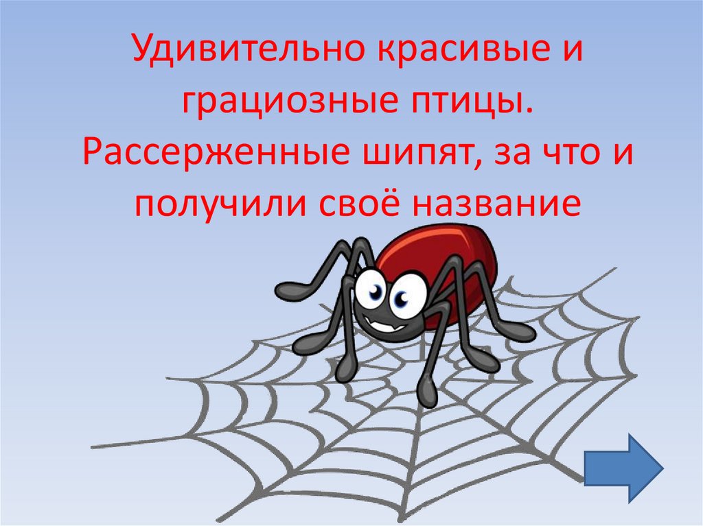 Познавательная игра "Экологическая паутина" - презентация онлайн