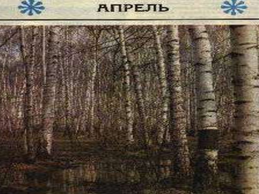 Предложение презентация онлайн