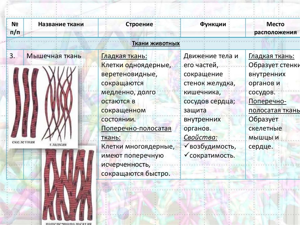 Ткани растений и животных презентация онлайн