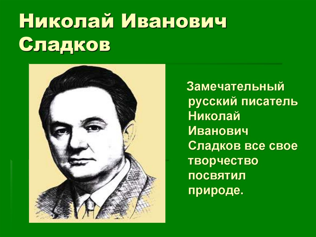 Н. Сладков. Медведь и Солнце - презентация онлайн