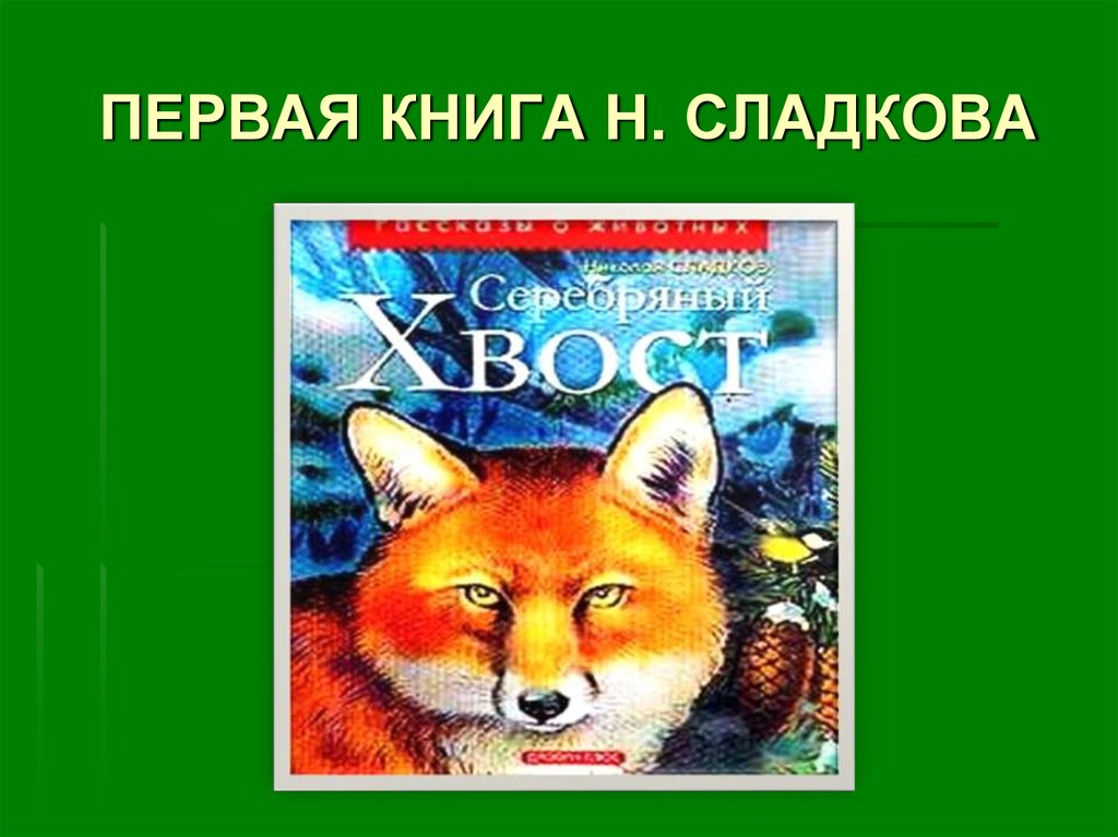 Н. Сладков. Медведь и Солнце - презентация онлайн