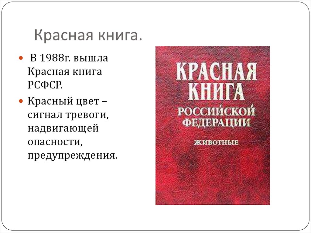 Своеобразна природа Жигулей редкие растения и животные занесенные в