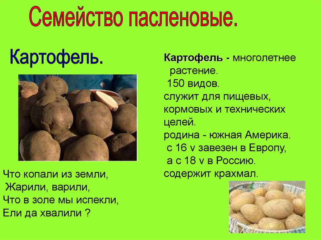 Классификация покрытосеменных растений презентация онлайн