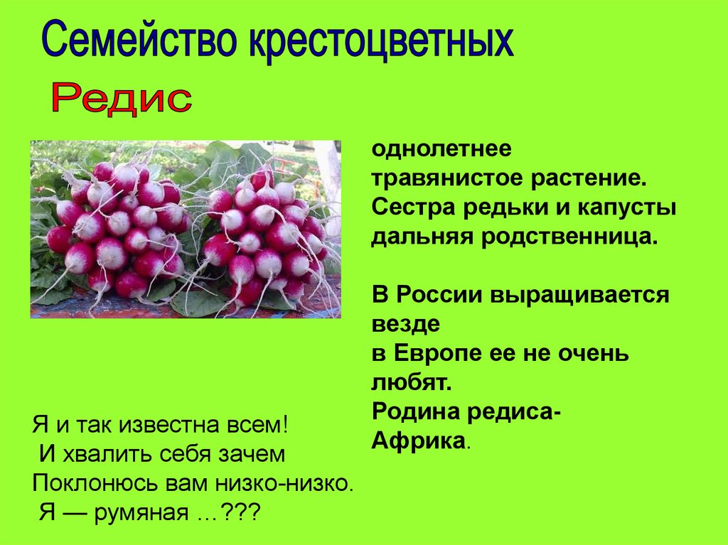 Классификация покрытосеменных растений презентация онлайн