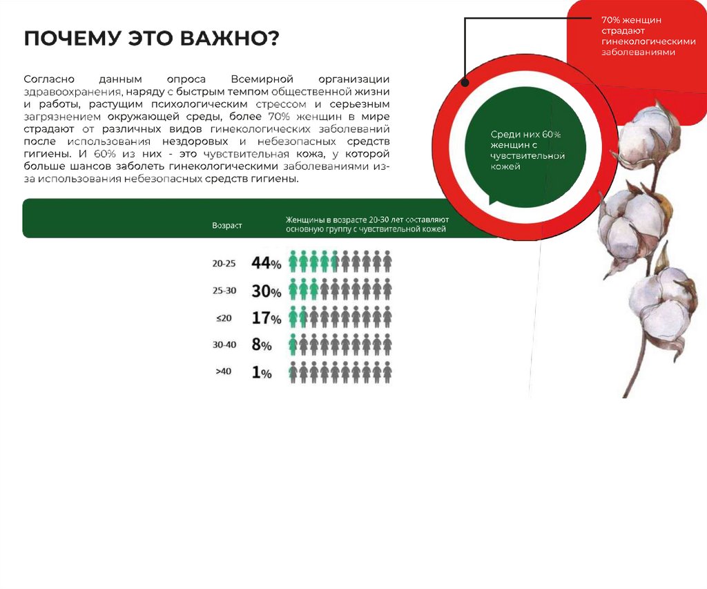 Lissanelli. Коммерческое предложение - презентация онлайн