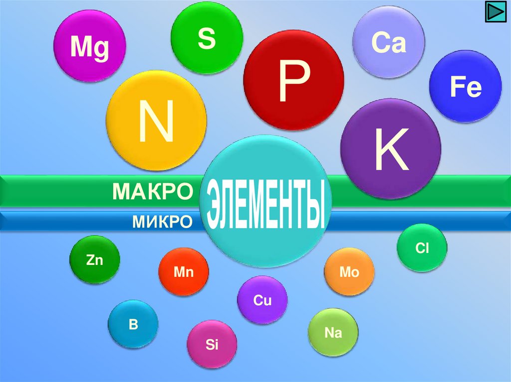 Минеральные удобрения презентация онлайн