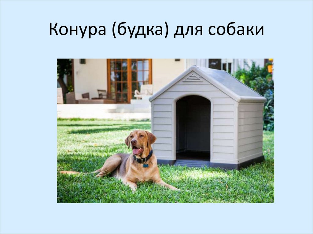 Знакомство с домашними животными - презентация онлайн