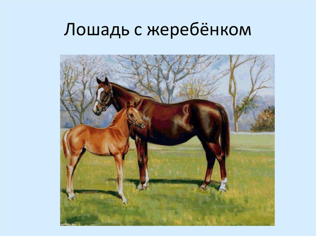Знакомство с домашними животными - презентация онлайн