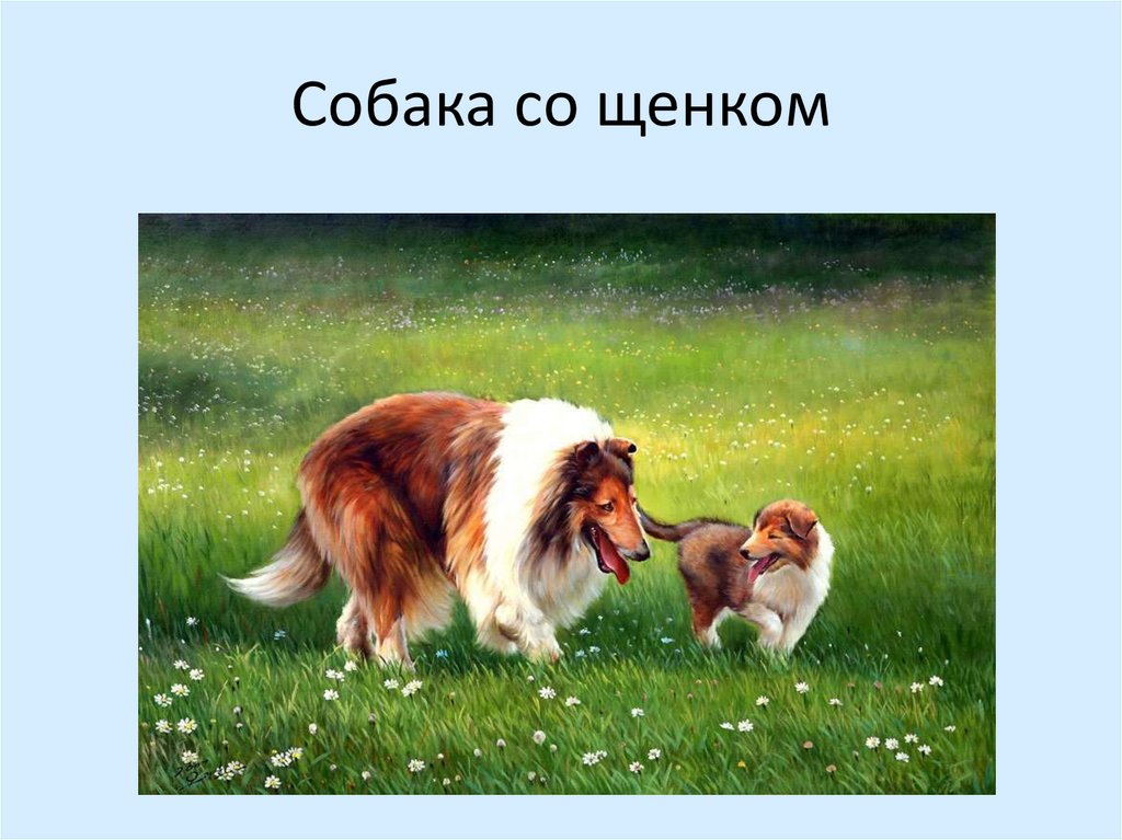 Знакомство с домашними животными - презентация онлайн