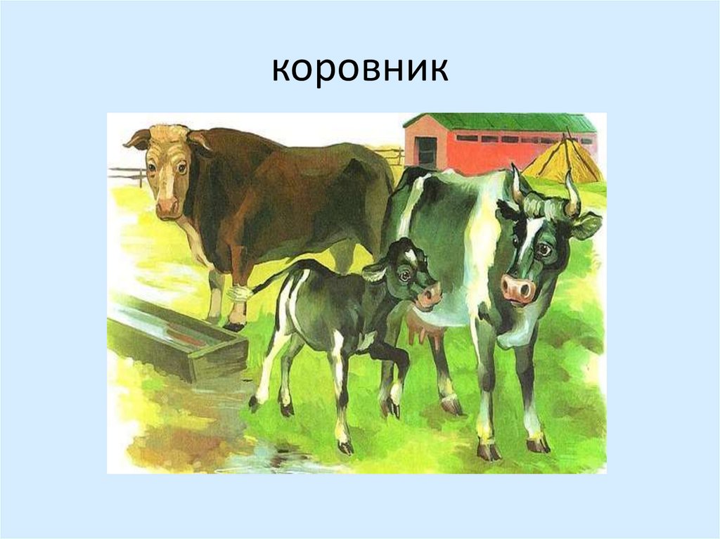 Знакомство с домашними животными - презентация онлайн