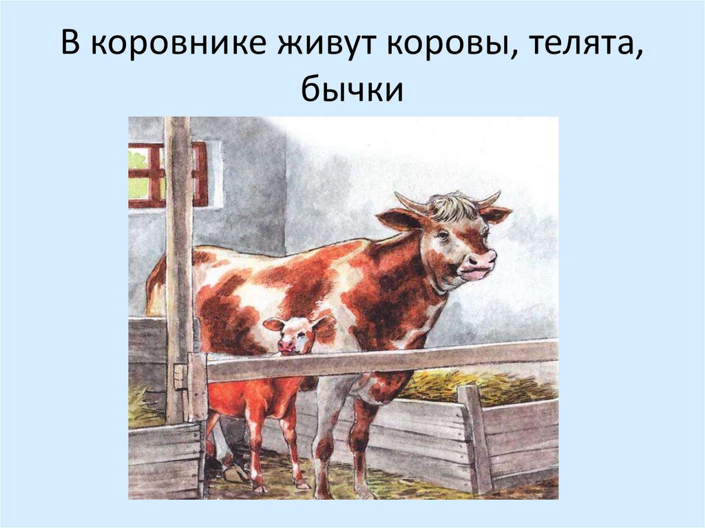 Знакомство с домашними животными - презентация онлайн