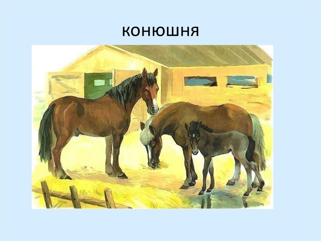 Знакомство с домашними животными - презентация онлайн