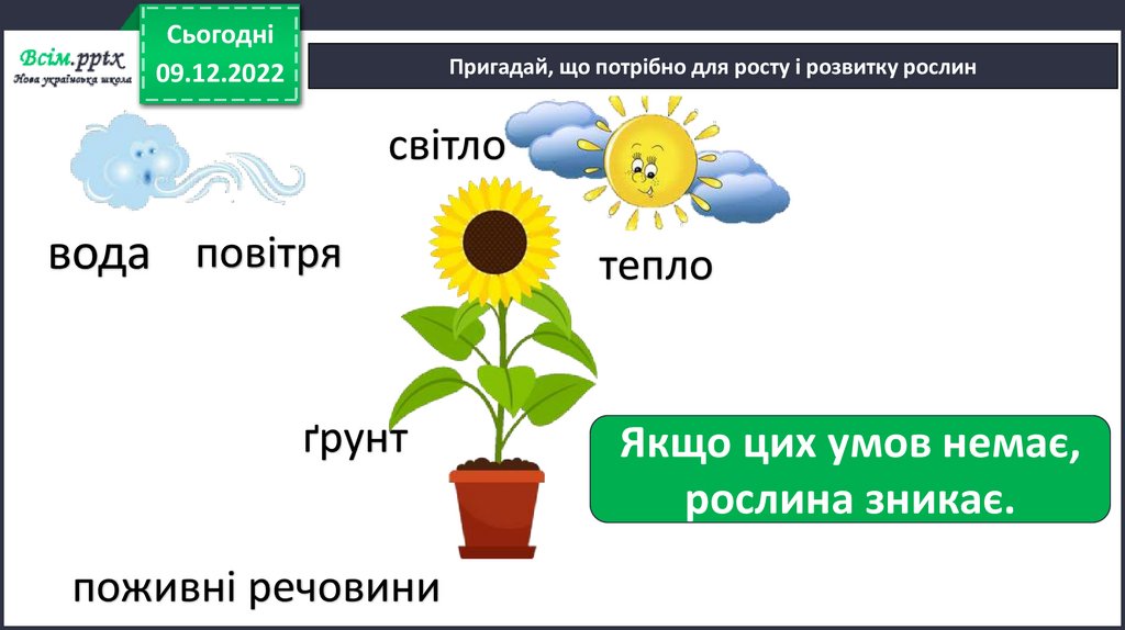 Червона книга України Рідкісні рослини Урок №36 презентация онлайн