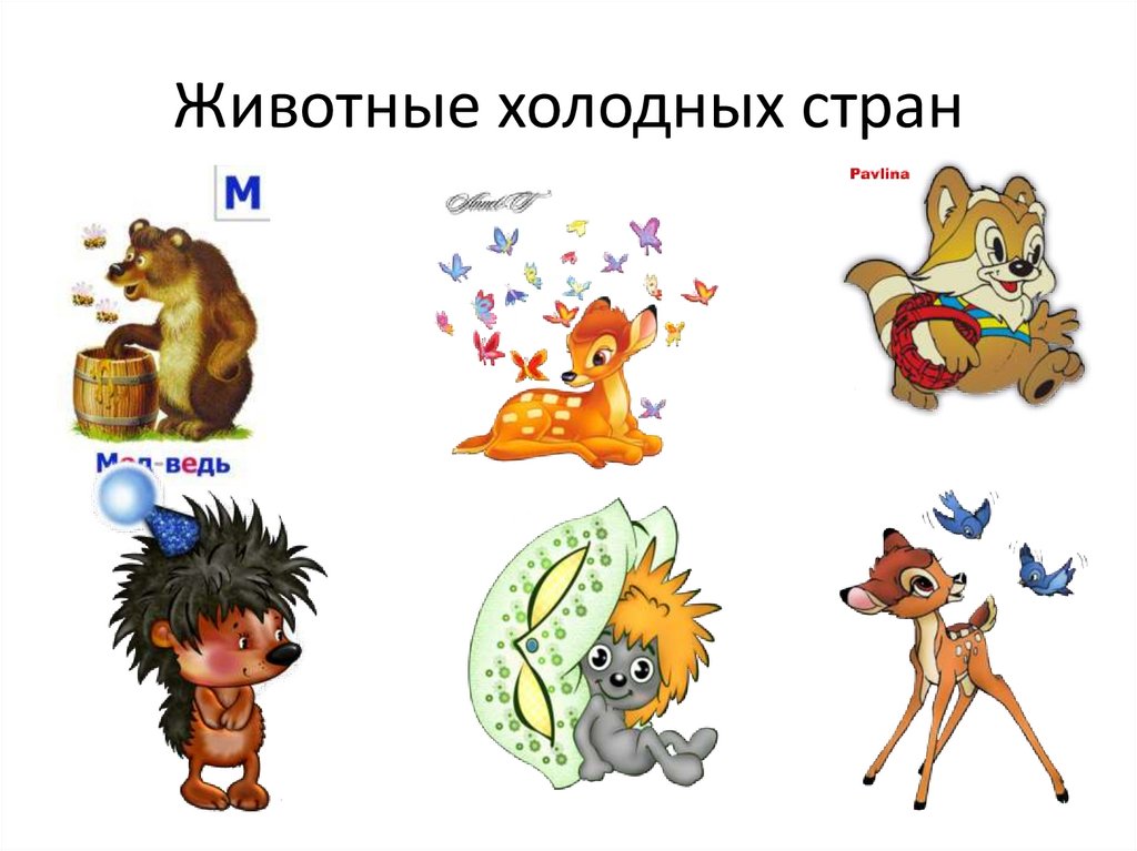 Картинный материал для проектов по логопедии. Животные - презентация онлайн